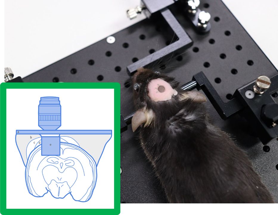 IVIM Technology Application Note_Oct. 2024