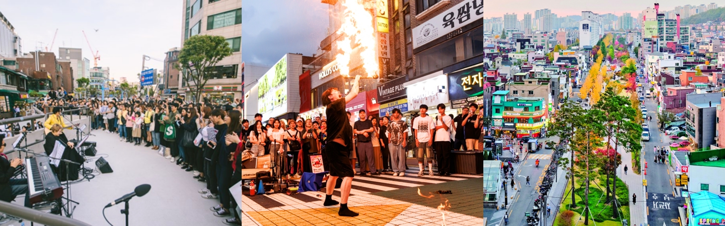 [LEXIS KOREA] 🚨 OPENING NEW CAMPUS - HONGDAE, SEOUL! 🎉🇰🇷